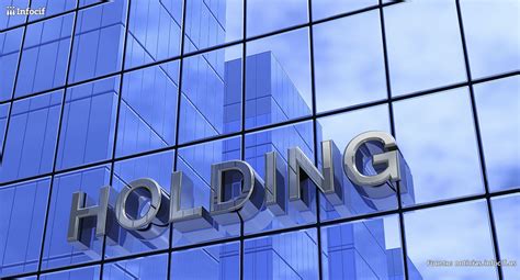 Estructura Holding Particularidades y Motivos por los que crearla Economía 3