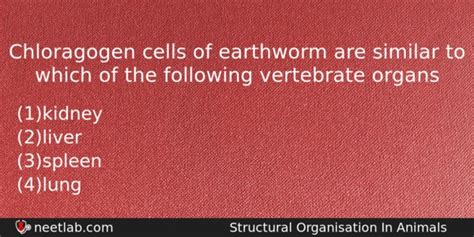 Chloragogen Cells Of Earthworm Are Similar To Which Of The Following