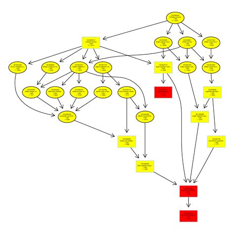 Go Enrichment Analysis