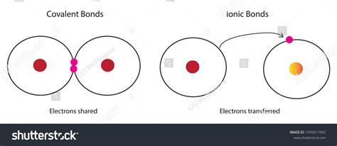 Chemical Structure Covalent Bonds Ionic Bonds Stock Vector Royalty Free Shutterstock