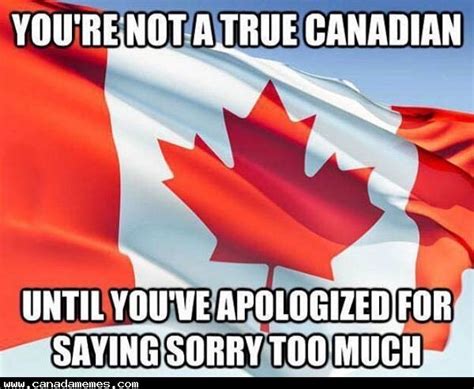 Umm Sorry But Why Do Canadians Say Sorry All The Time Canada