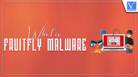 What Is Fruitfly Malware 2024 How To Avoid And Remove It