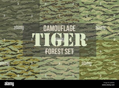 Tiger Stripe Hi Res Stock Photography And Images Alamy