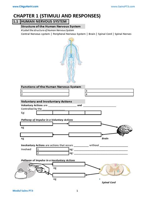 Modul Science F3 Dlp Pdf Ionizing Radiation Ion