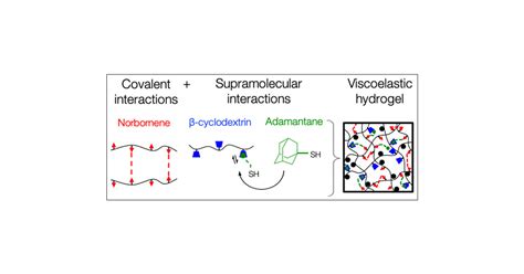 Spatiotemporal Control Of Viscoelasticity In Phototunable Hyaluronic