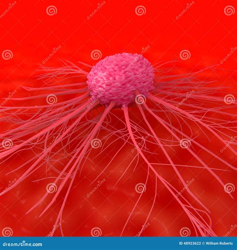Lung Tissue Stock Illustrations 1 383 Lung Tissue Stock Illustrations
