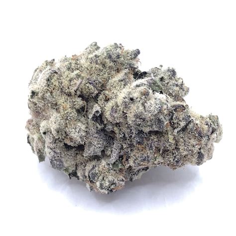 Love Machine My 28 Grams