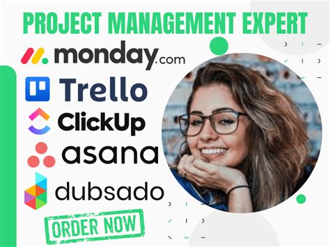 Expert Project Manager For Asana Trello Clickup Notion