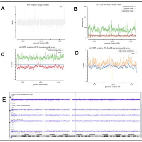 Evaluation And Analysis Of The Cnv And Aoh Of A Normal Sample A Cnv Download Scientific