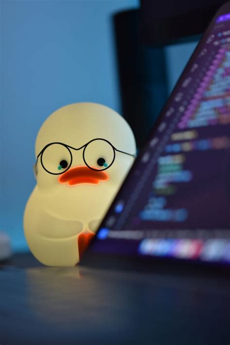 The Power Of Rubber Ducky Debugging And The Cardboard Developer Knowness