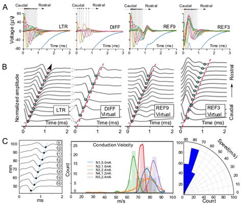 The Effect Of Referencing Method On Ecap Component Amplitude And Download Scientific Diagram