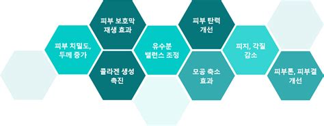 리쥬란 힐러 아이리쥬란 제주점