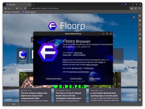 Floorp Browser Is It The Most Advanced Cross Platform Firefox Derivative