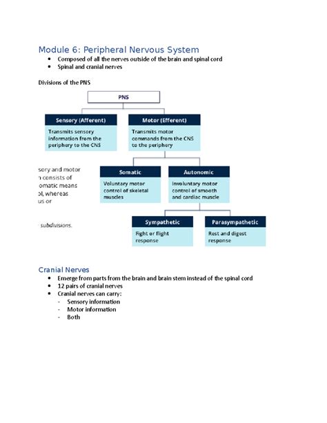 Module 6 Cns Online Module 6 Peripheral Nervous System Composed Of All The Nerves Outside