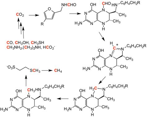 Engineeringmethanogenesis Handwiki