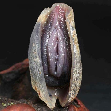 When You Feel Shellfish For Wanting Oral Sex Album On Imgur