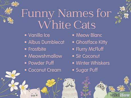 415 Funny Cat Names For Your Furry Friend