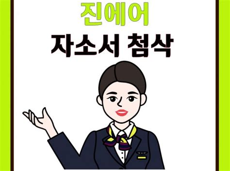 진에어 승무원 자소서 24시간 내 첨삭 프로그램 크몽