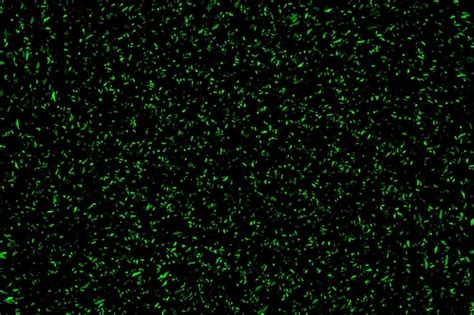 Grass Particles Vectors And Illustrations For Free Download Freepik