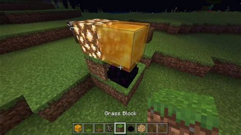 Beeeeeeeeeeeeeeeeeeeeeeeeeeeeeeeeeeeeees Youtube