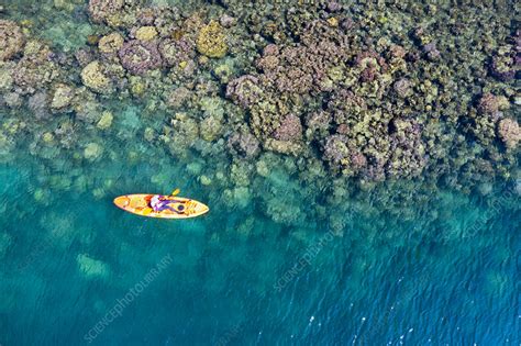 Kayaking In Fjords Near Tufi Papua New Guinea Stock Image C047