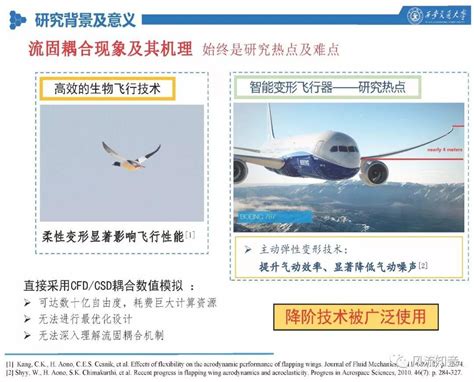 【人工智能专栏 陈刚】一种基于流场特征的气动力深度学习降阶模型 system 振动 非线性 通用 航空 航天 理论 仿生 仿真秀干货文章