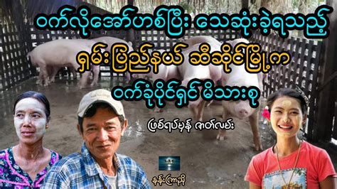 ရှမ်းပြည်နယ် ဆီဆိုင်မြို့က ဝက်ခုံပိုင်ရှင် မိသားစု ၏ ကြောက်စရာဝဋ်ကြွေး