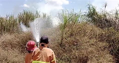 Kebakaran Lahan Kosong Di Gunung Piter