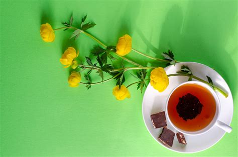 녹색 배경에 홍차 한 잔 초콜릿 조각 트롤리우스 유로파유의 노란 꽃 초콜릿 낮과 아침 차 0명에 대한 스톡 사진 및 기타 이미지 Istock