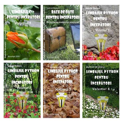 Set De 6 Carti Programare Incepatori 336 Gabriel Braharu Colectia