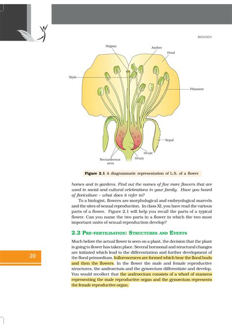 Solution Class 12 Cbse Ncert 02sexual Reproduction In Flowering Plants