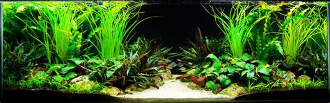 Российские аквариумы от производителя ZelAqua