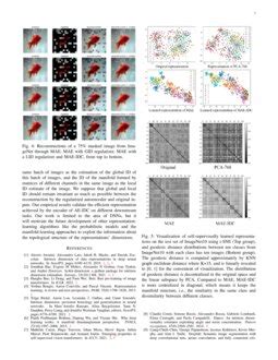 Autoencoders With Intrinsic Dimension Constraints For Learning Low Dimensional Image