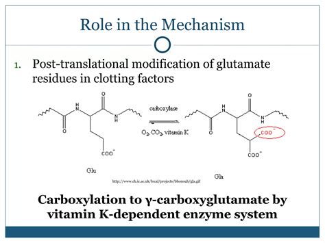 Vitamin K Medicinal Chemistry By Pravisankarstructures Of Vitamin