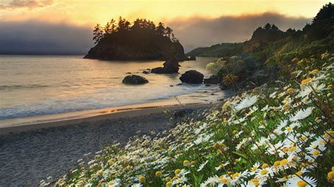 Landscapes California Trinidad Beaches Wallpapers Hd Desktop And