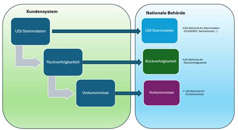 Emdn Codes In Eudamed Functionality And Use