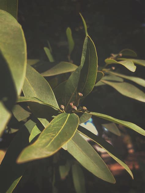 An Interview With Ariel Wickham Earnhardt And The Full Circle Cycling Project Ariel Wickham