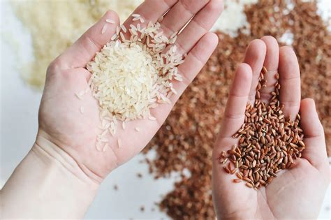 Should You Eat Brown Rice Or White Rice Daily Healthy Body