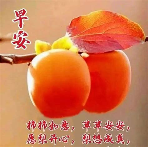 今日最新早上好表情图片大全每天问个好幸福天天有 心情 因为 身体
