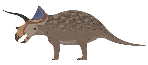 Ojoceratops Scratchpad Video Wiki Fandom