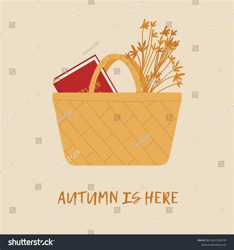 11473 책 바구니 벡터 이미지 스톡 사진 및 벡터 Shutterstock