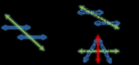 The Different Type Of Orientations Of The Dimer Dsqb With Biaryl