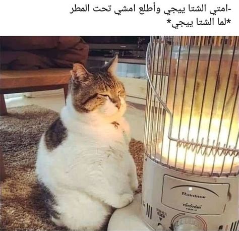 خليكي قويه وتعلمي تبقي مفتريه On Instagram “😂😂