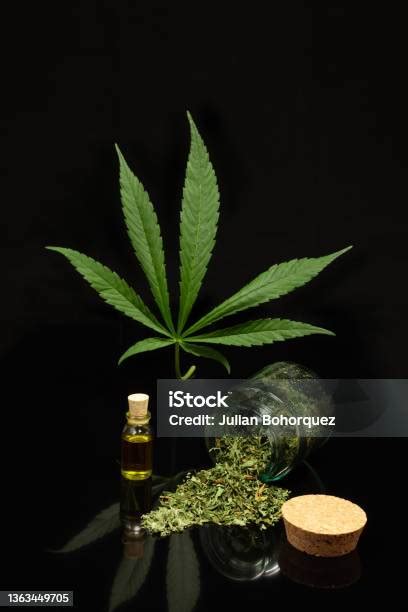 검은 배경에 마리화나 잎 앞에 물 마른 허브 의 병 옆에 대마초 오일 병 마리화나 판매점에 대한 스톡 사진 및 기타 이미지 마리화나 판매점 대마잎 컷아웃 Istock