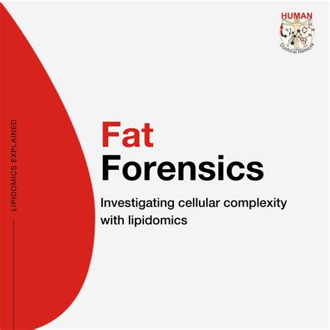 Explained Lipids Metabolomics Fats Massspec Lcms Human Doctoral Network In Metabolomics