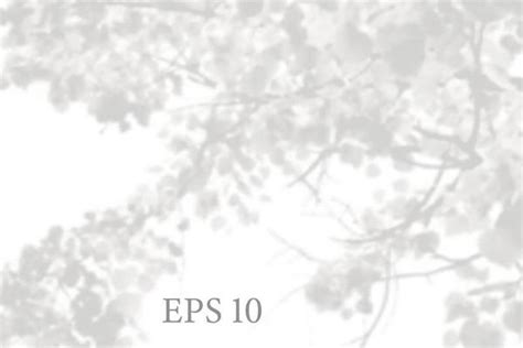 Tree Shadow Vector Art Icons And Graphics For Free Download