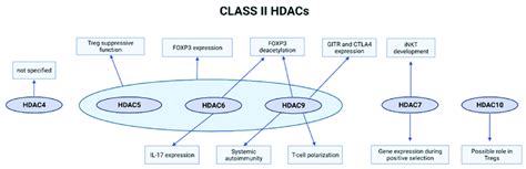 Role Of Class Ii Hdacs In T Cells Created With Biorender Download