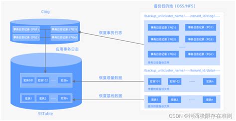 Obcp第七章 Ob迁移 备份恢复技术架构及操作方法ob数据库全量备份 Csdn博客