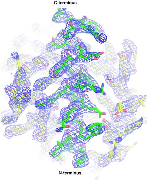 2fo Fc Electron Density Maps Of Cnp058bim Bh3 Domain Complex Electron Download Scientific