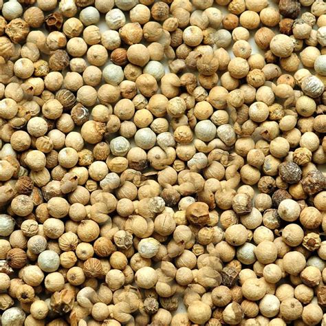 White Pepper Ksps International Fzllc